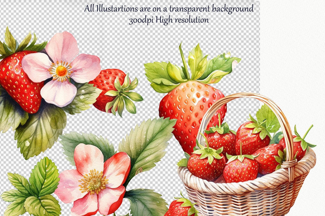 Strawberry Watercolor Clipart. Strawberry Summer Clipart. Strawberry ...