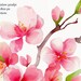 Cheryy Blossom Watercolor Clipart. Spring Flowers Clipart. Floral ...