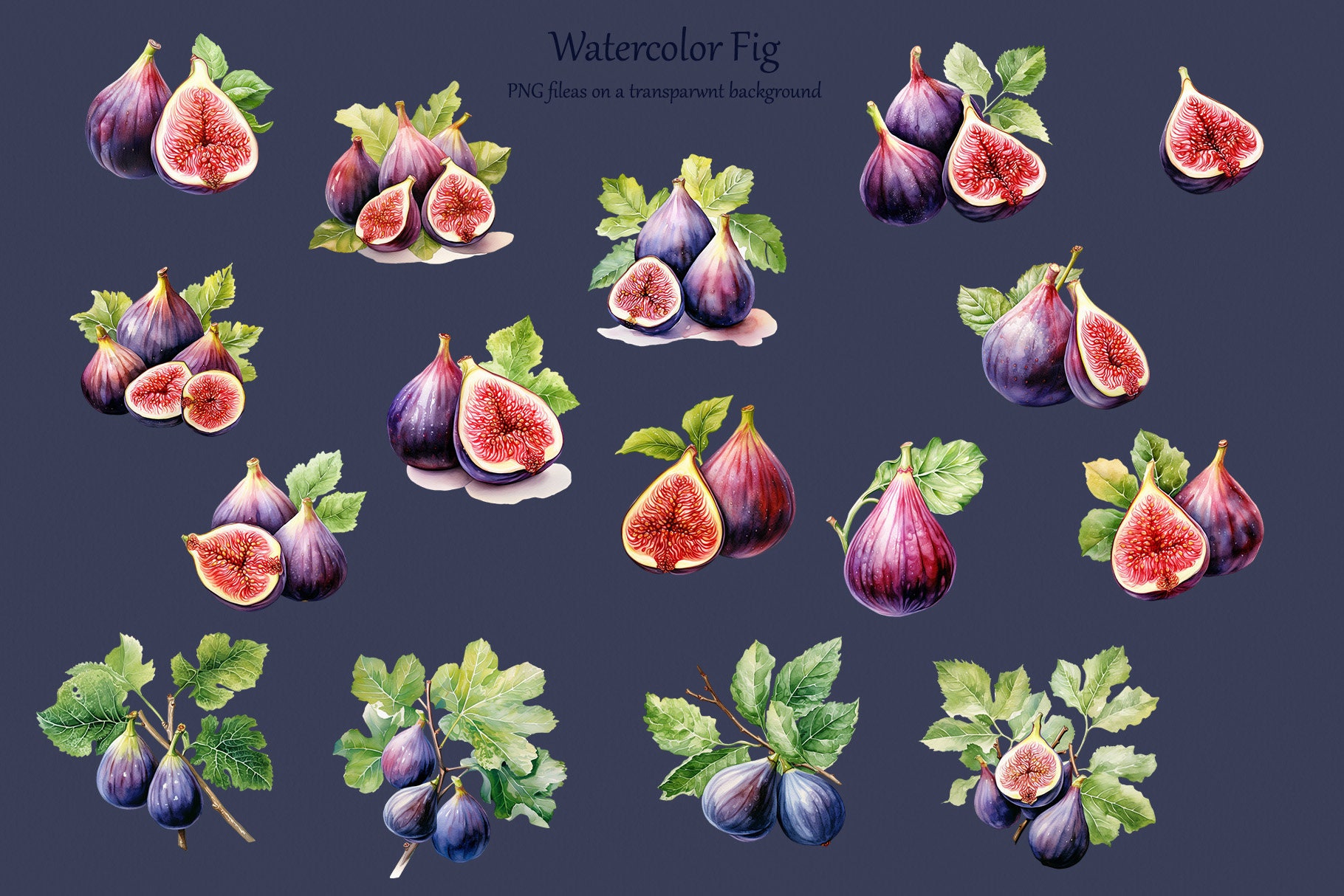 Fig Watercolor Clipart. Fig Summer Clipart. Fig Tree Clipart. Fruit ...