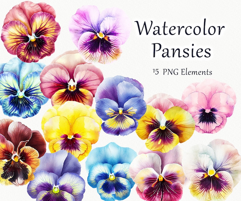 Watercolor Pansy Flowers Clipart. Pansy Flowers Clipart. Floral Pansy ...