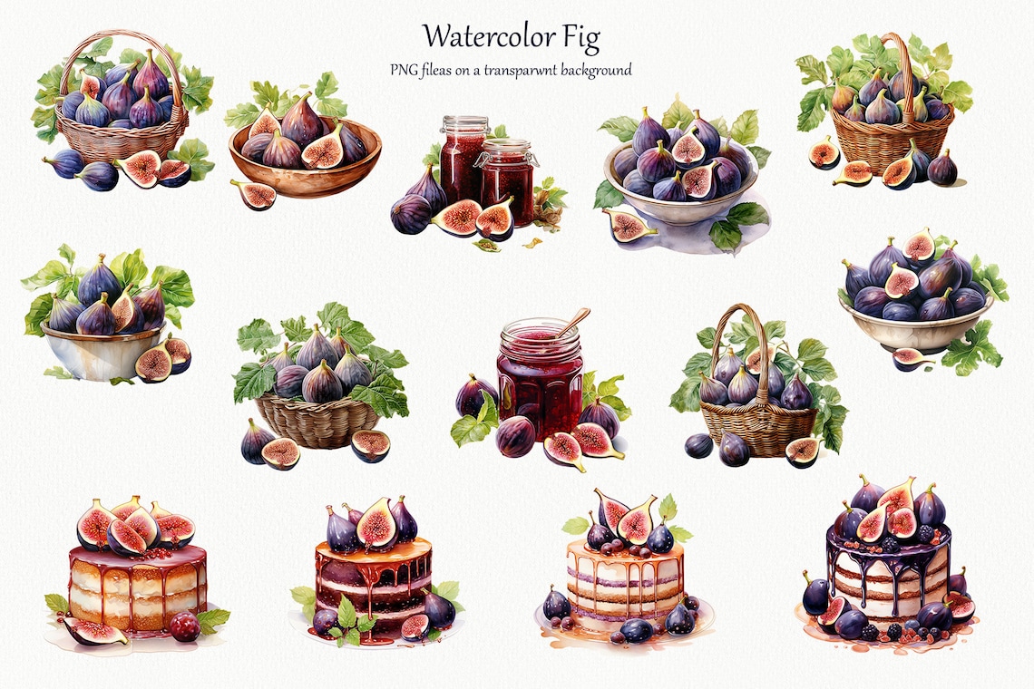 Fig Watercolor Clipart. Fig Summer Clipart. Fig Tree Clipart. Fruit ...