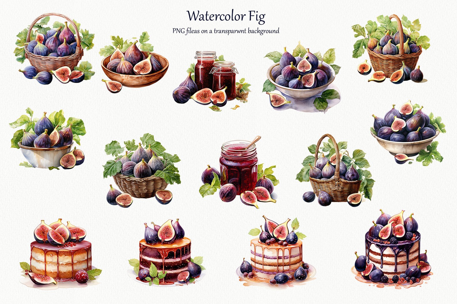 Fig Watercolor Clipart. Fig Summer Clipart. Fig Tree Clipart. Fruit ...