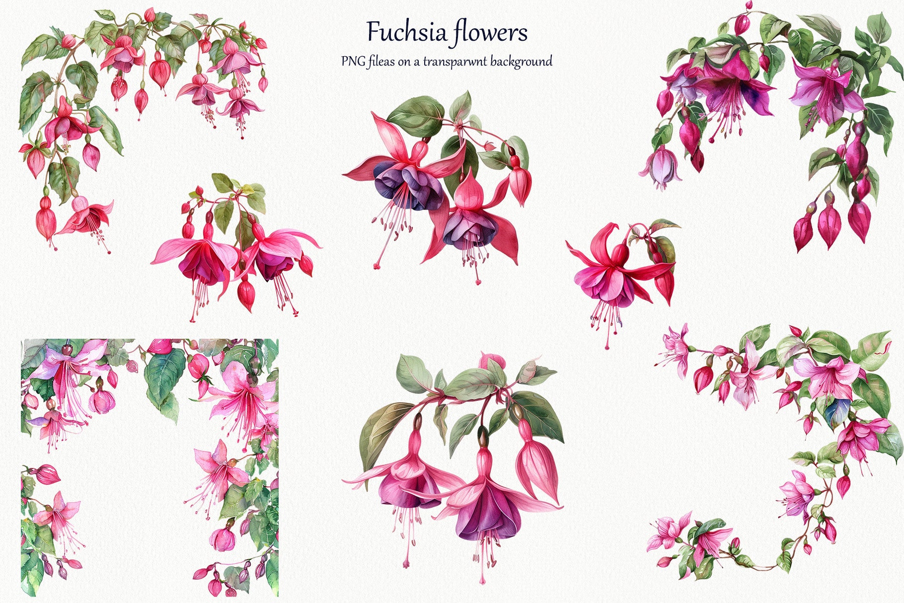 Fuchsia Watercolor Clipart. Fuchsia Flowers Summer Clipart. Potted ...