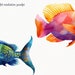Watercolor Fish Clipart. Tropical Fish Clipart. Coral Reef Fish Clipart ...