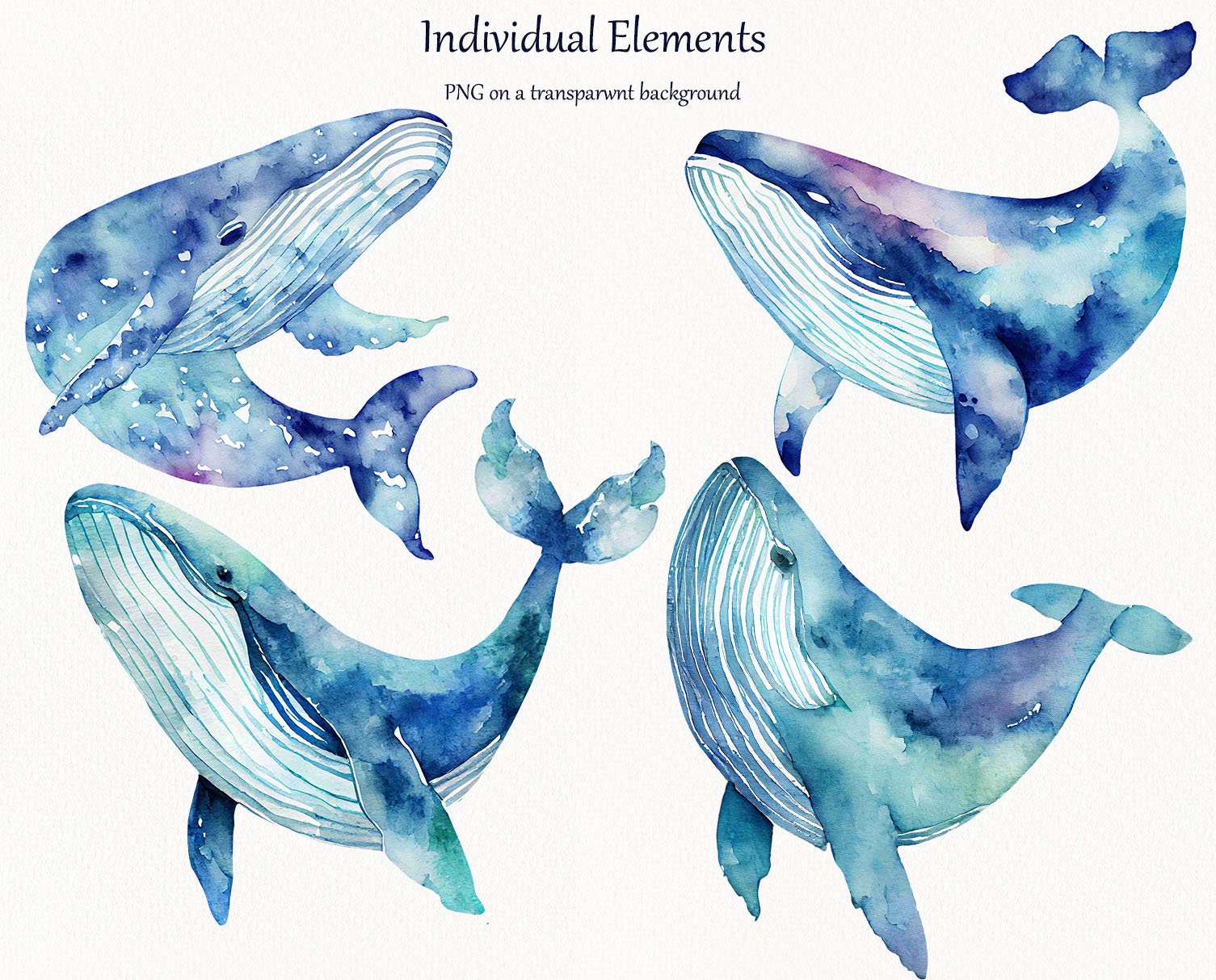 Blue Whale Watercolour Clipart. Watercolor Whale Clipart. Whale Clipart ...