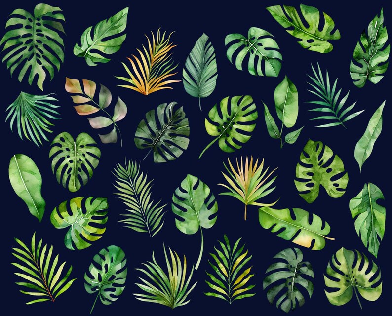 Watercolor Tropical Leaves Clipart. Tropical Clipart. Tropical Beach ...