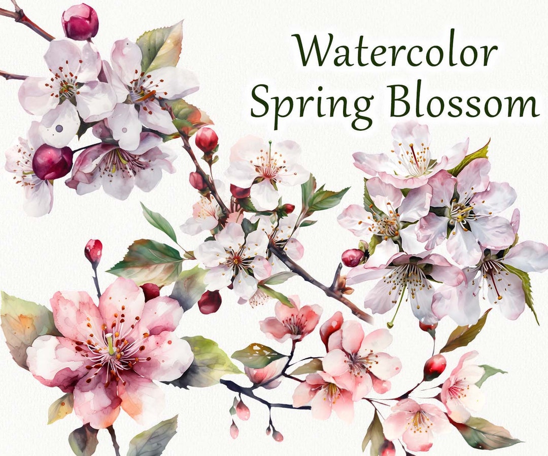 Spring Blossom Watercolor Clipart. Spring Flowers Clipart. Floral ...