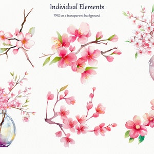Cheryy Blossom Watercolor Clipart. Spring Flowers Clipart. Floral ...