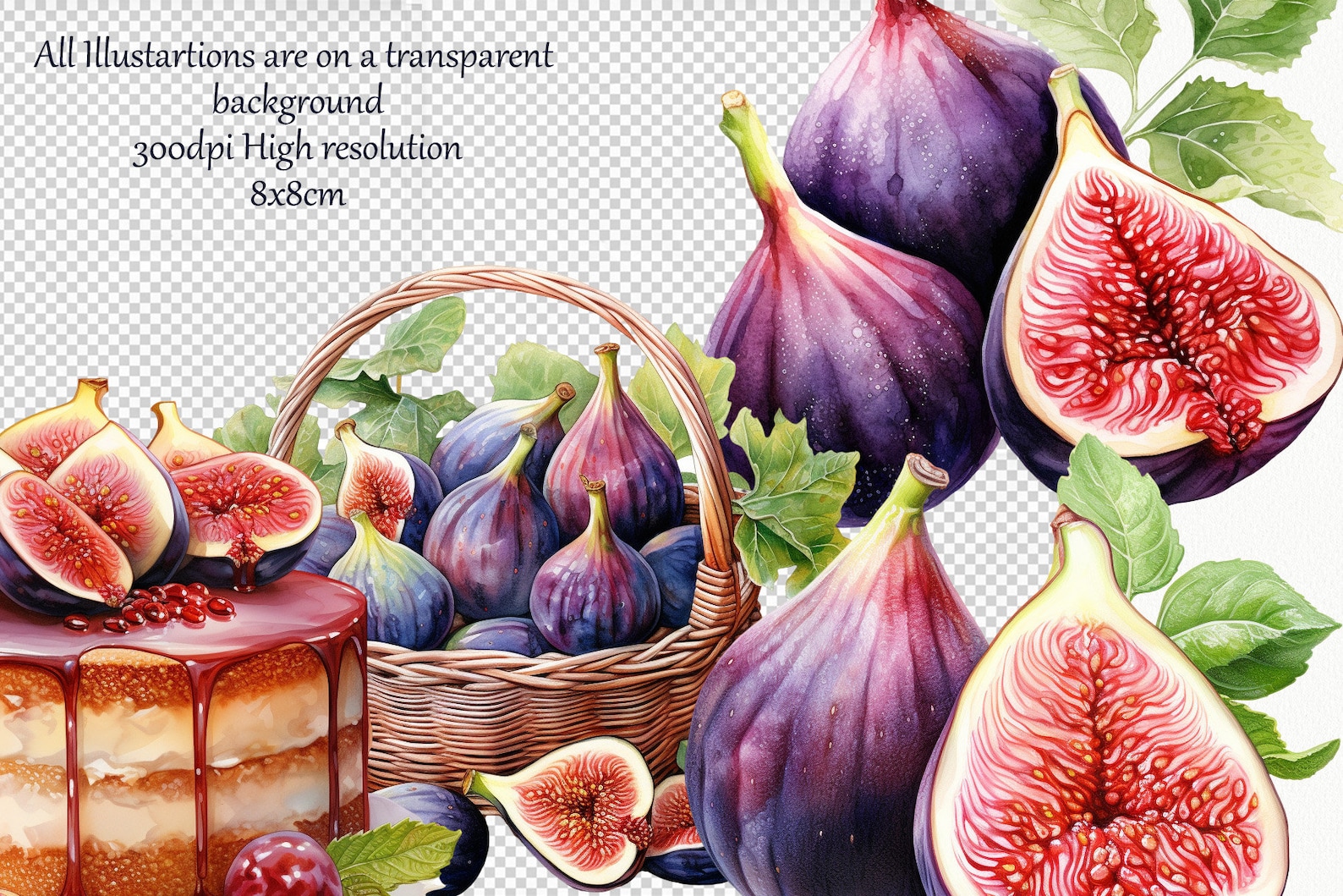 Fig Watercolor Clipart. Fig Summer Clipart. Fig Tree Clipart. Fruit ...