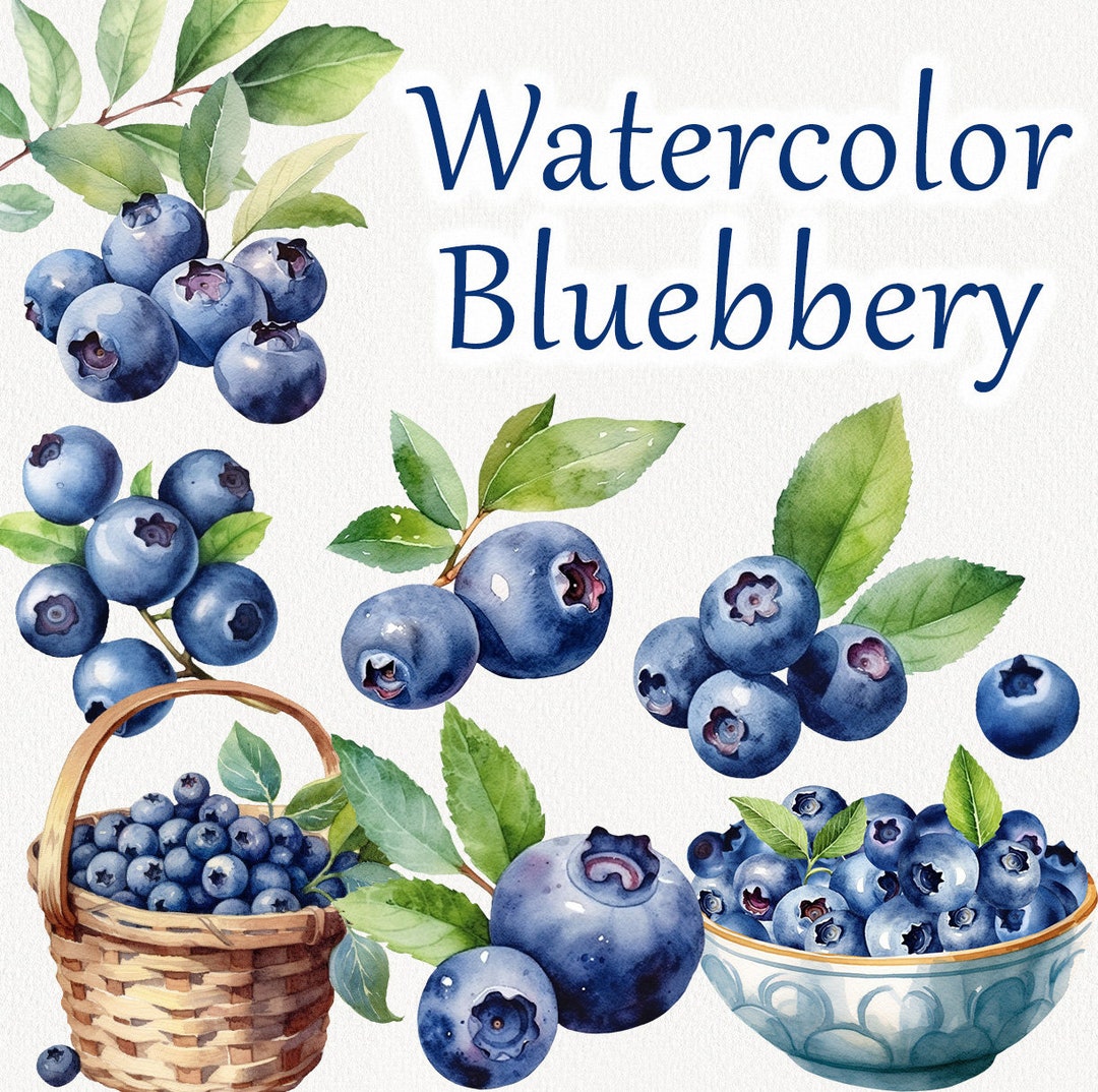 Blueberry Watercolor Clipart. Blueberry Summer Clipart. Blueberry Plant ...