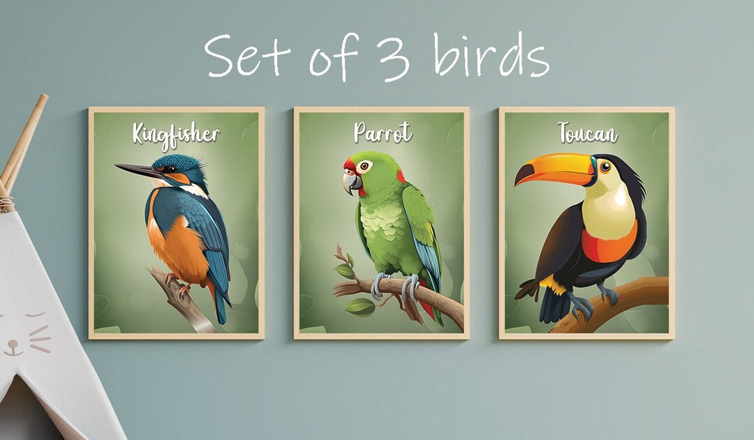 Set of 3 Prints With Beautiful Birds. for a Poster or in a Picture ...