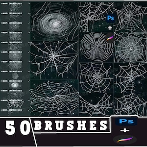Procreate Brushes Spider Web Decoration Spider Web Spider Silk Web ...