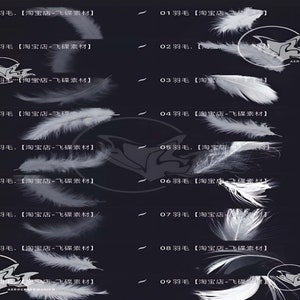 Feather Brushes for Procreate & Photoshop: 40 Textures (digital ...