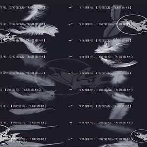 Feather Brushes for Procreate & Photoshop: 40 Textures (digital ...