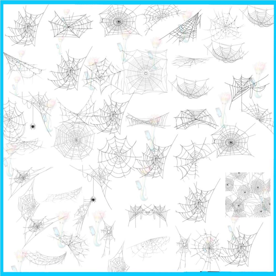 50 Spider Web Brushes: Procreate & Photoshop Decoration - Etsy