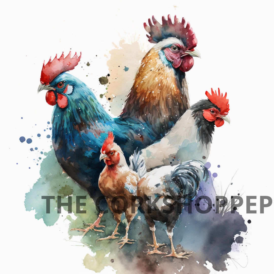 Boho Chicken Clipart Watercolor Illustration Commercial Use Digital ...