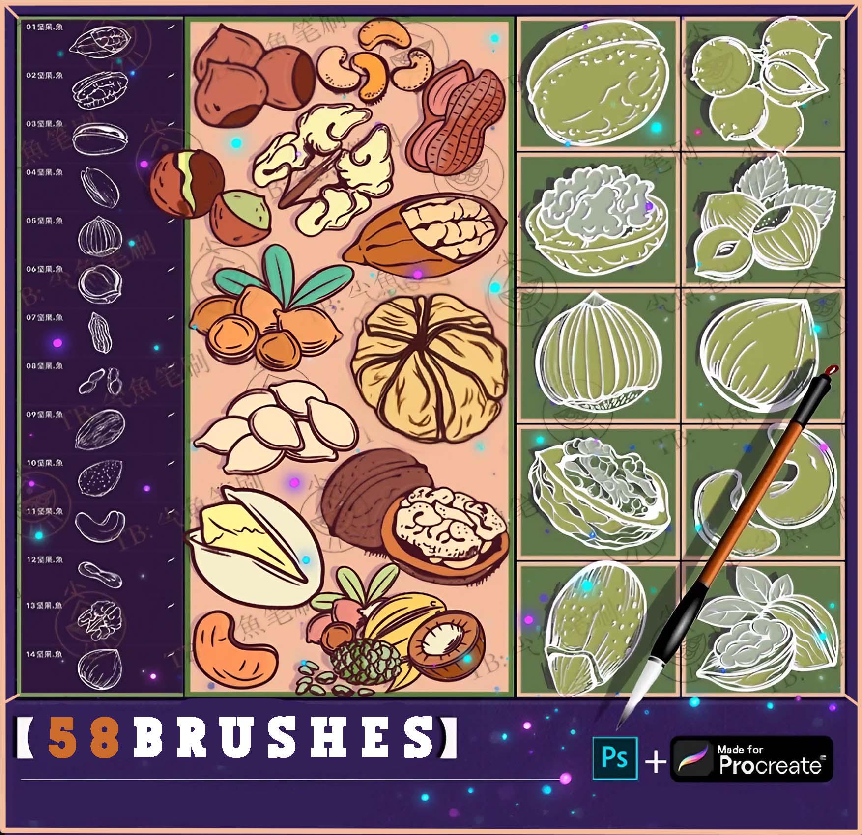 Nuts Line Art Brushes for Procreate & Photoshop (58) - Etsy