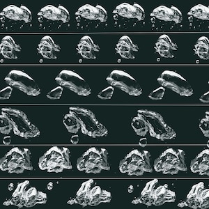 Photoshop Water, Photoshop Bubble, Bubbles Stamp, Procreate Water ...