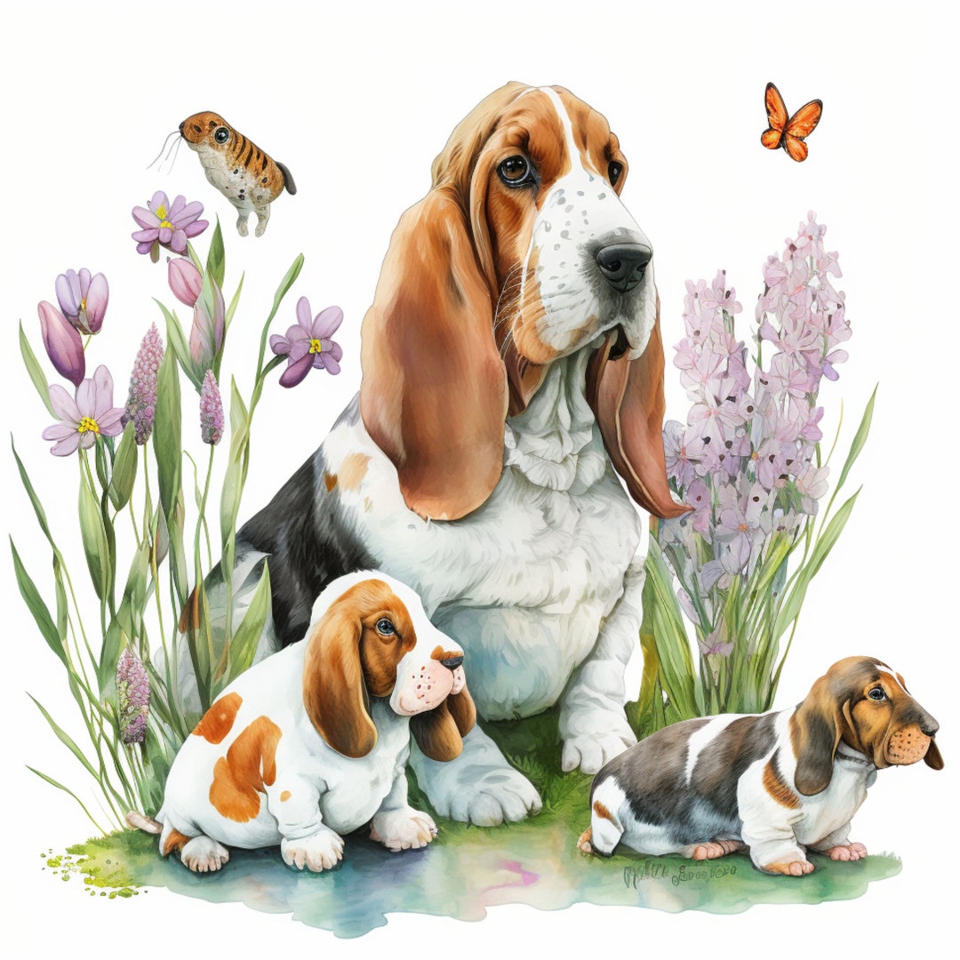 Basset Hound Puppy Digital Watercolor Clipart Basset Hound - Etsy