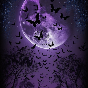 Purple Butterflies Flying in the Night Sky #2 - Just the Image, Digital ...