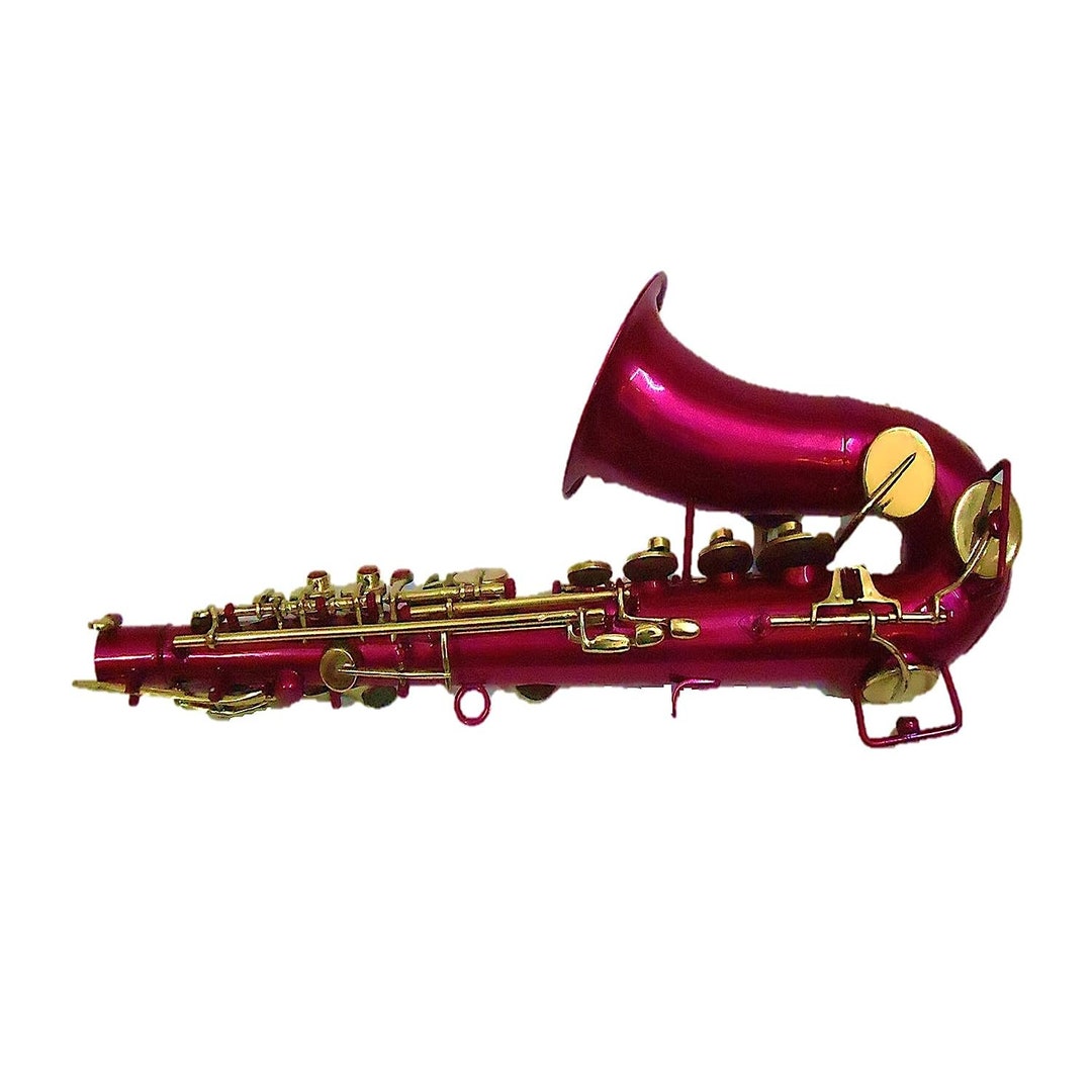 Prelude Student Model AS711 Alto Saxophone by Conn - Etsy