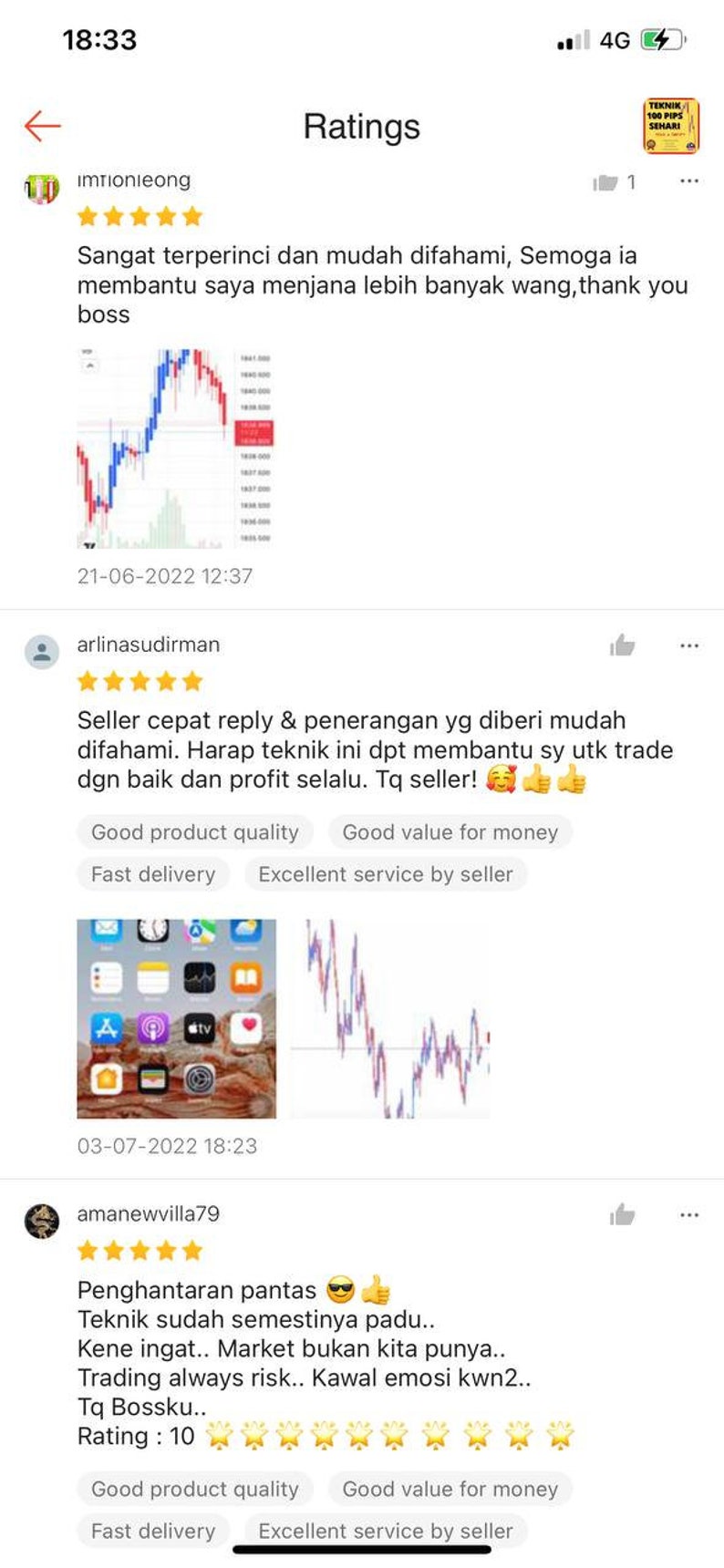 100 Pips a Day Forex Technique - Etsy