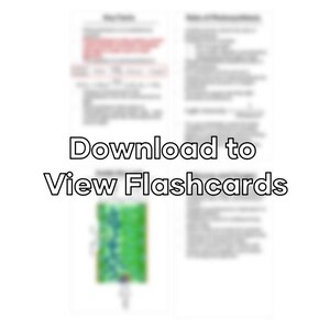 Photosynthesis Flashcards | GCSE Biology Combined Science Revision and ...