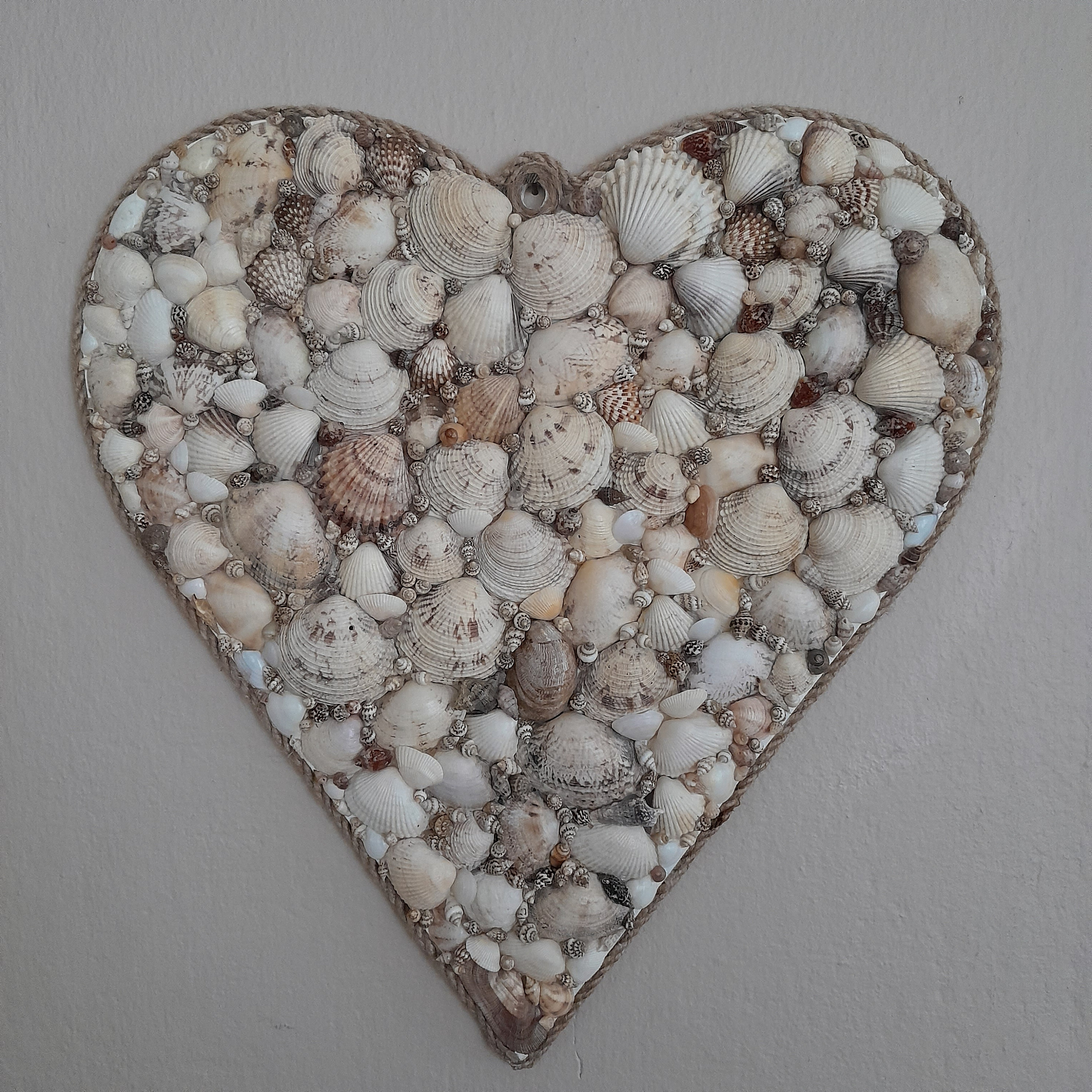 Sea Shells Wall Decoration - Etsy