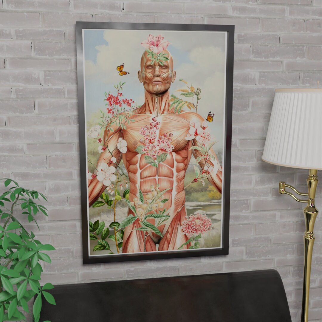 Framed Human Body Anatomy Art Medical Wall Decor Anatomy Wall Decor ...