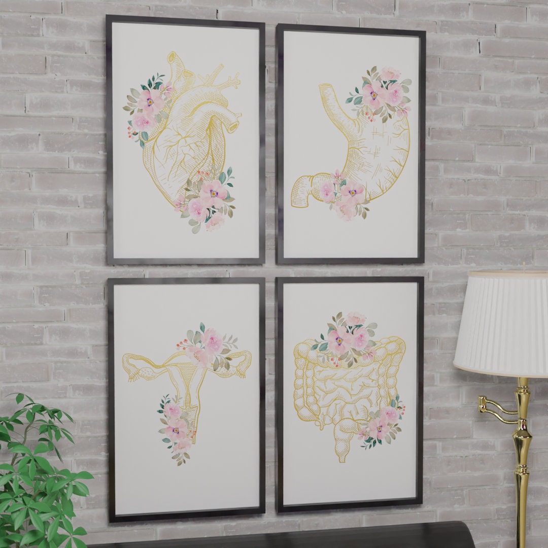 Framed 4-piece Set Golden Human Anatomy & Flowers Artistic Human ...