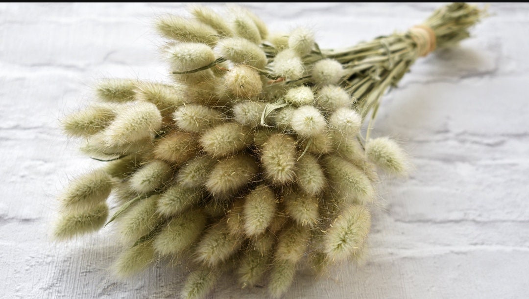 Naturally Dried Flowers Lagurus Boho Wedding Invitations Bridal Bouquet ...