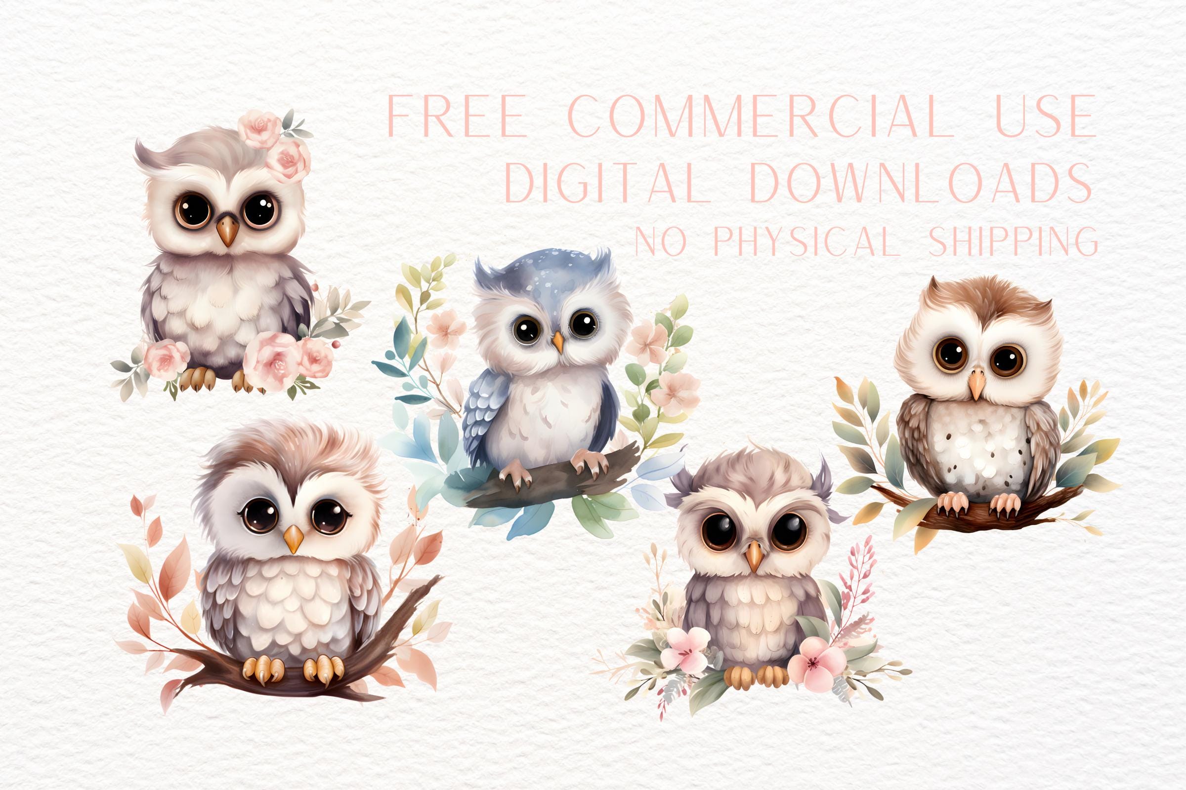 Baby Owl Clipart PNG Digital Download Owl With Flower Baby Animal ...