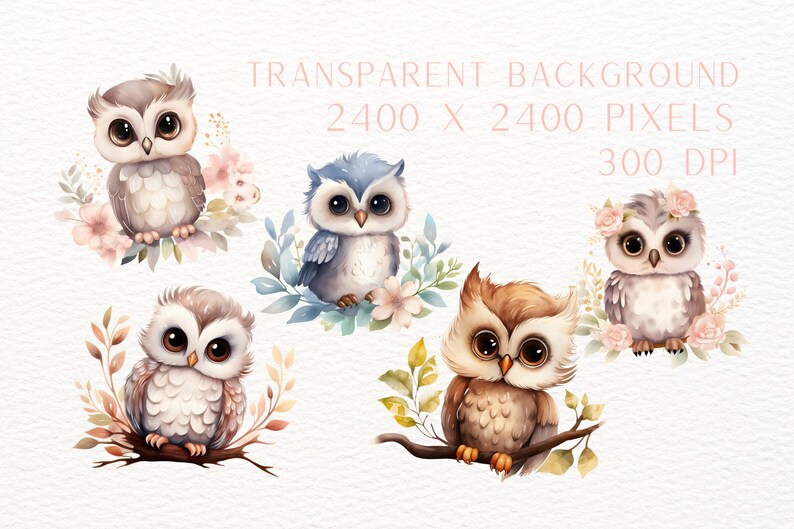 Baby Owl Clipart PNG Digital Download Owl With Flower Baby Animal ...