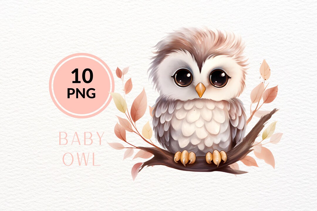 Baby Owl Clipart PNG Digital Download Owl With Flower Baby Animal ...