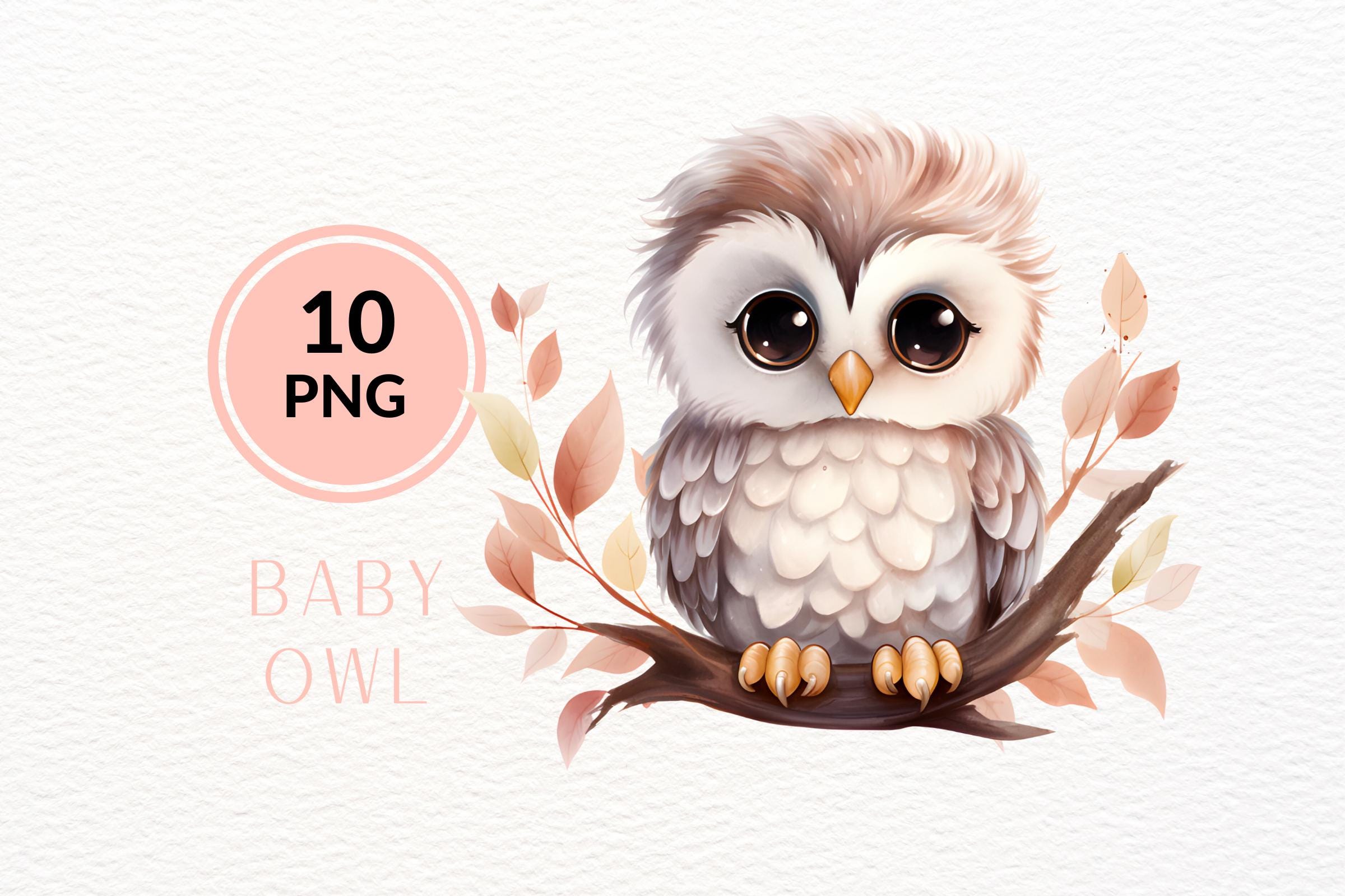Baby Owl Clipart PNG Digital Download Owl With Flower Baby Animal ...