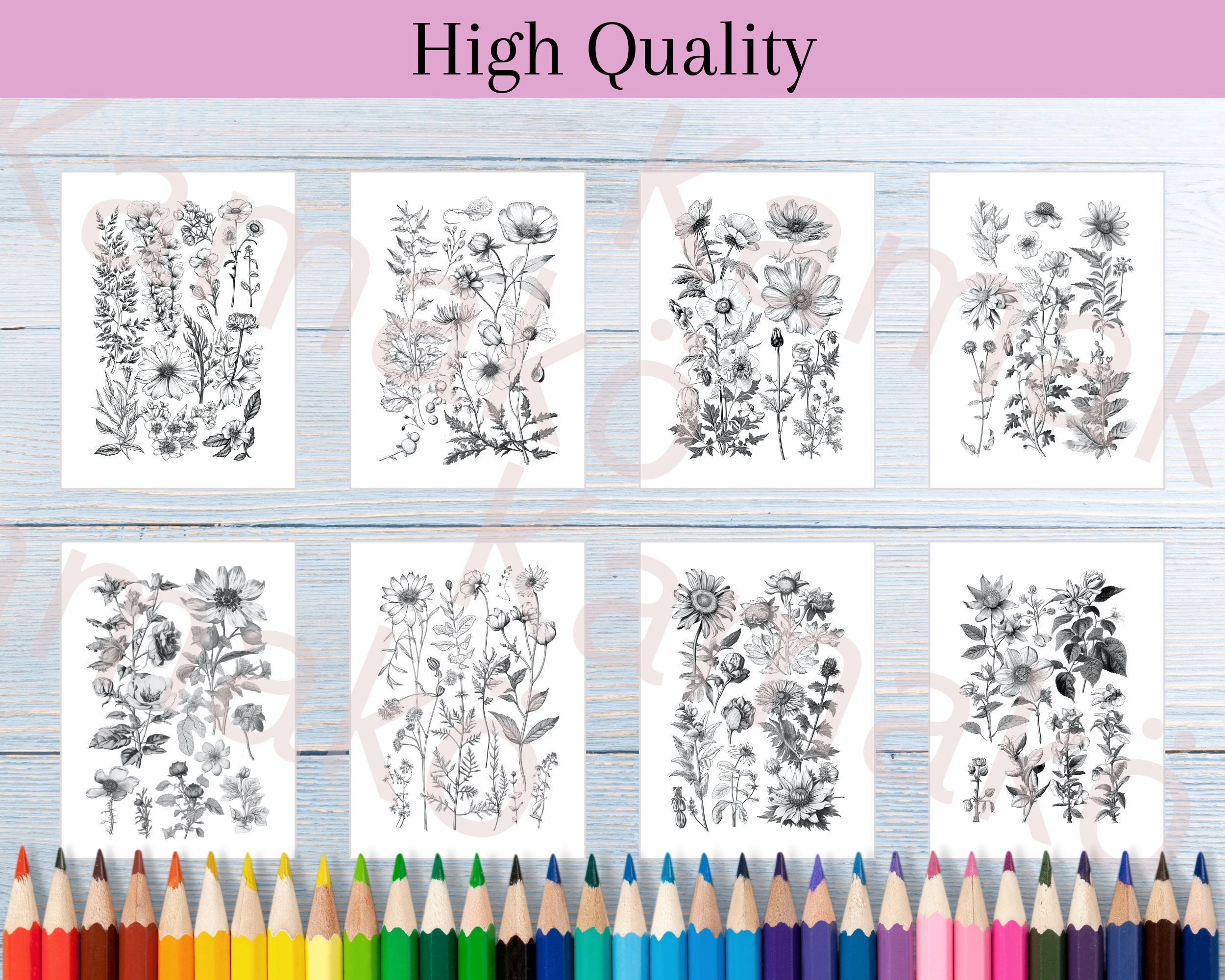 12 Vintage Botanical Coloring Pages, Download and Print Instant ...