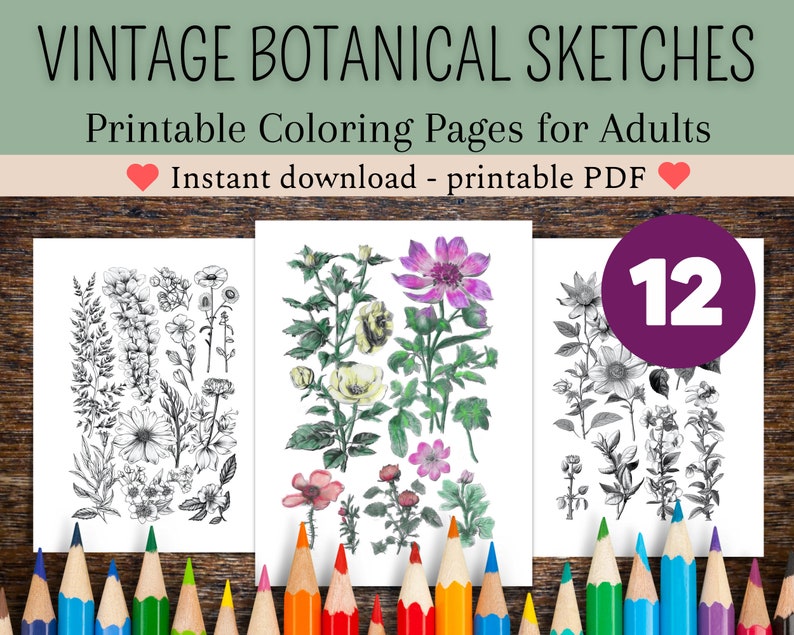 12 Vintage Botanical Coloring Pages Download and Print - Etsy