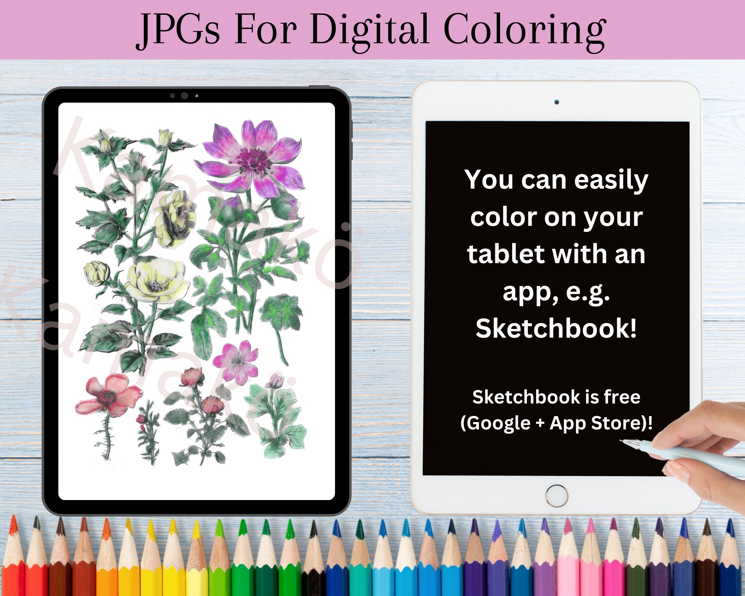 12 Vintage Botanical Coloring Pages, Download and Print Instant ...