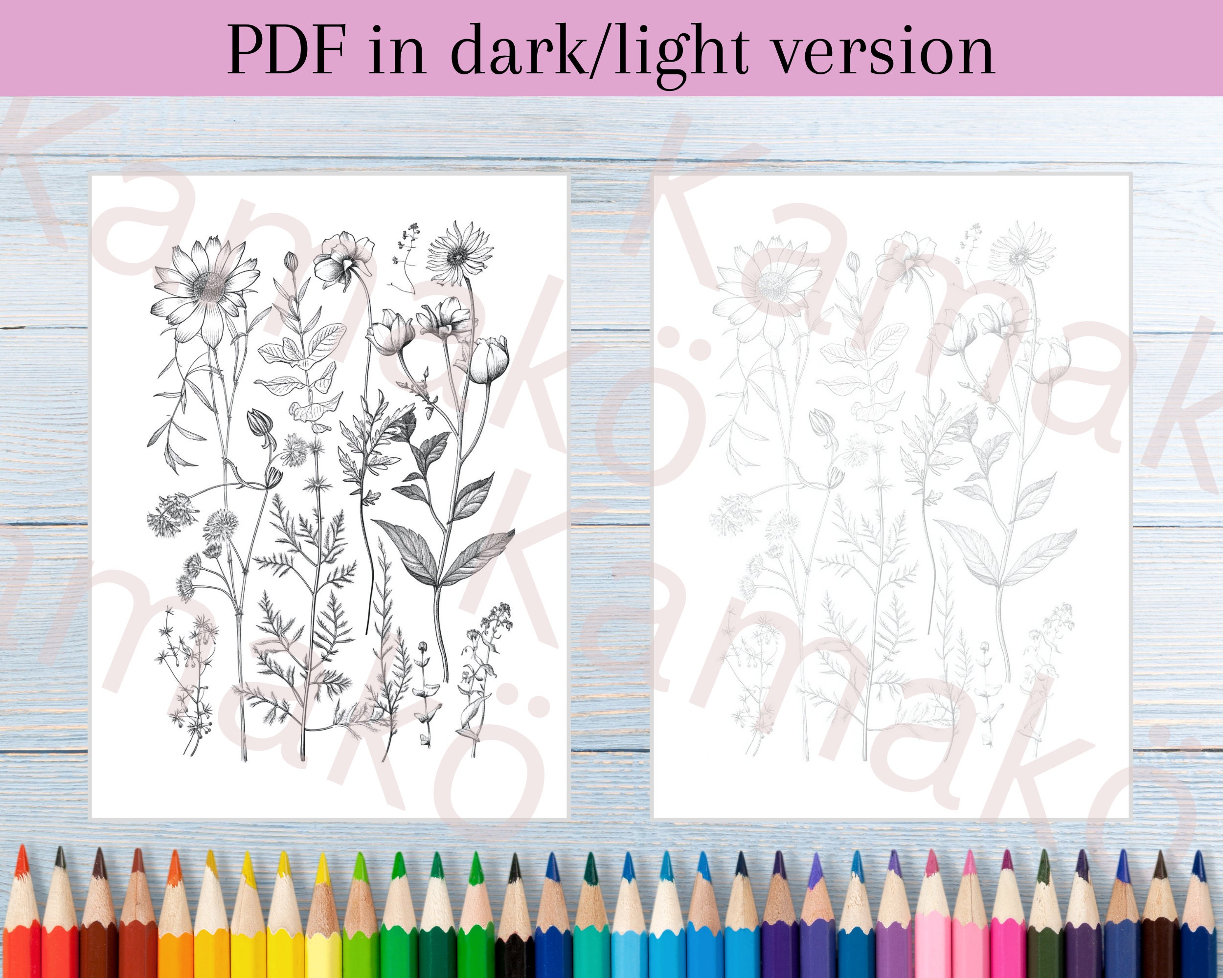 12 Vintage Botanical Coloring Pages, Download and Print Instant ...