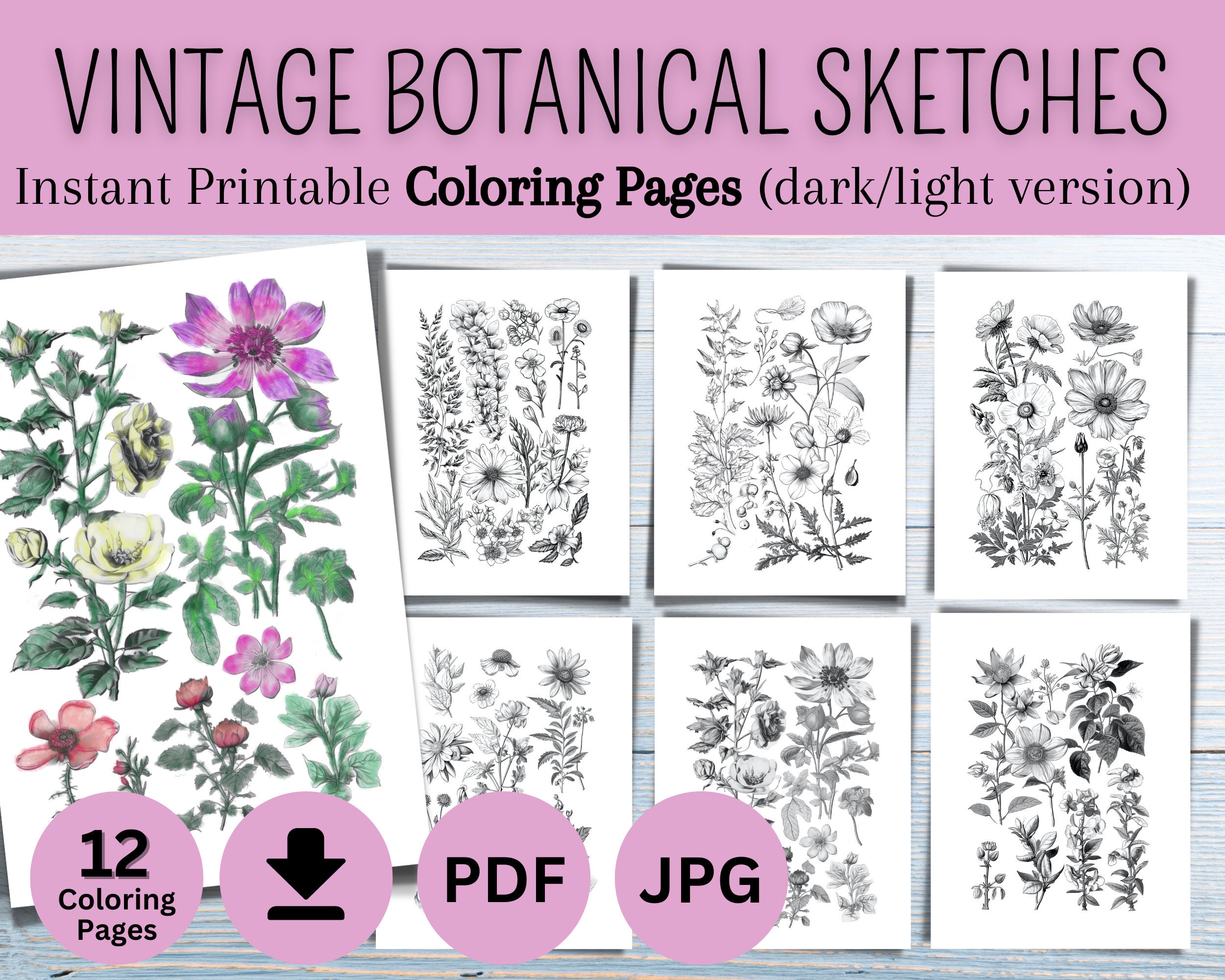 12 Vintage Botanical Coloring Pages, Download and Print Instant ...