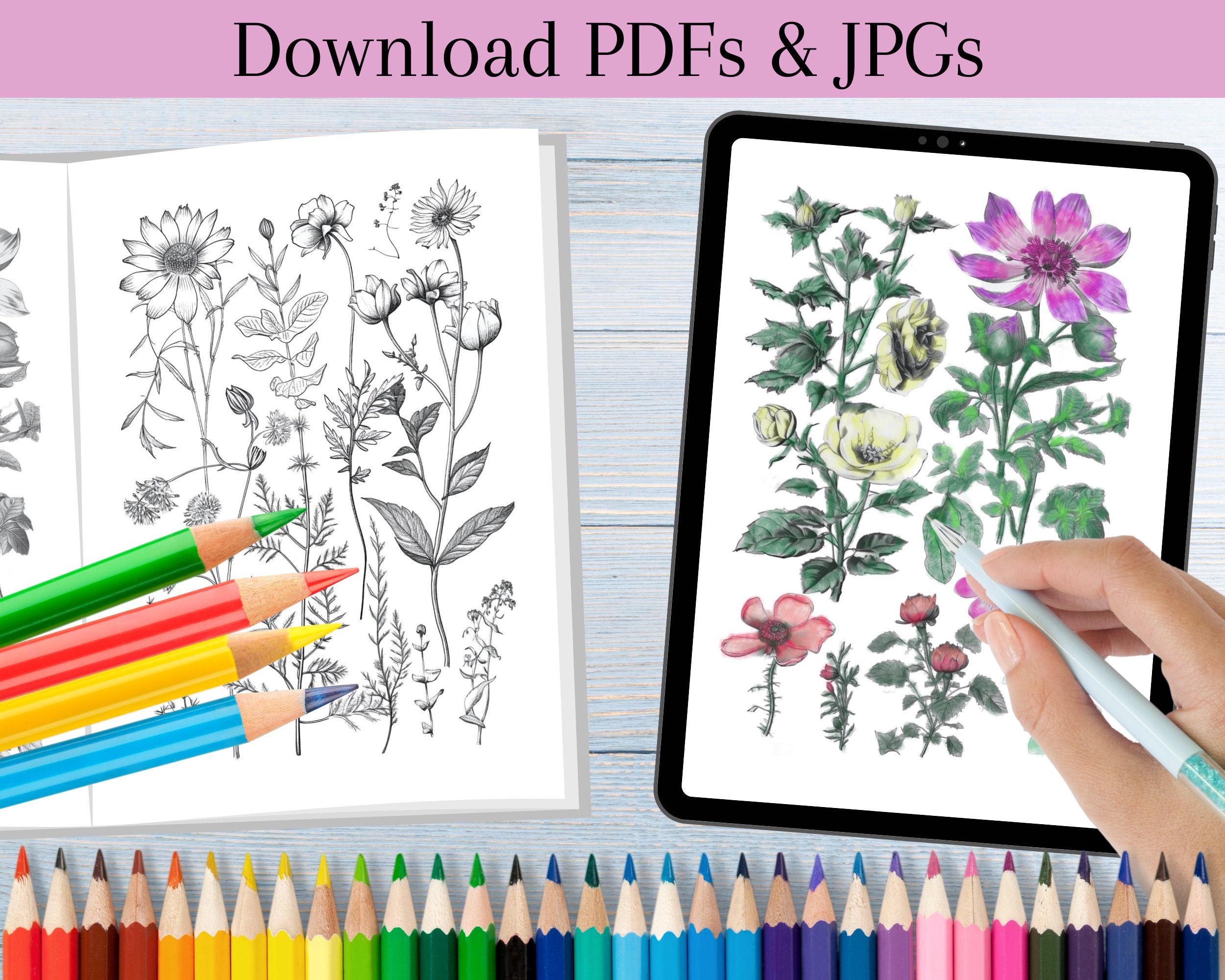 12 Vintage Botanical Coloring Pages, Download and Print Instant ...