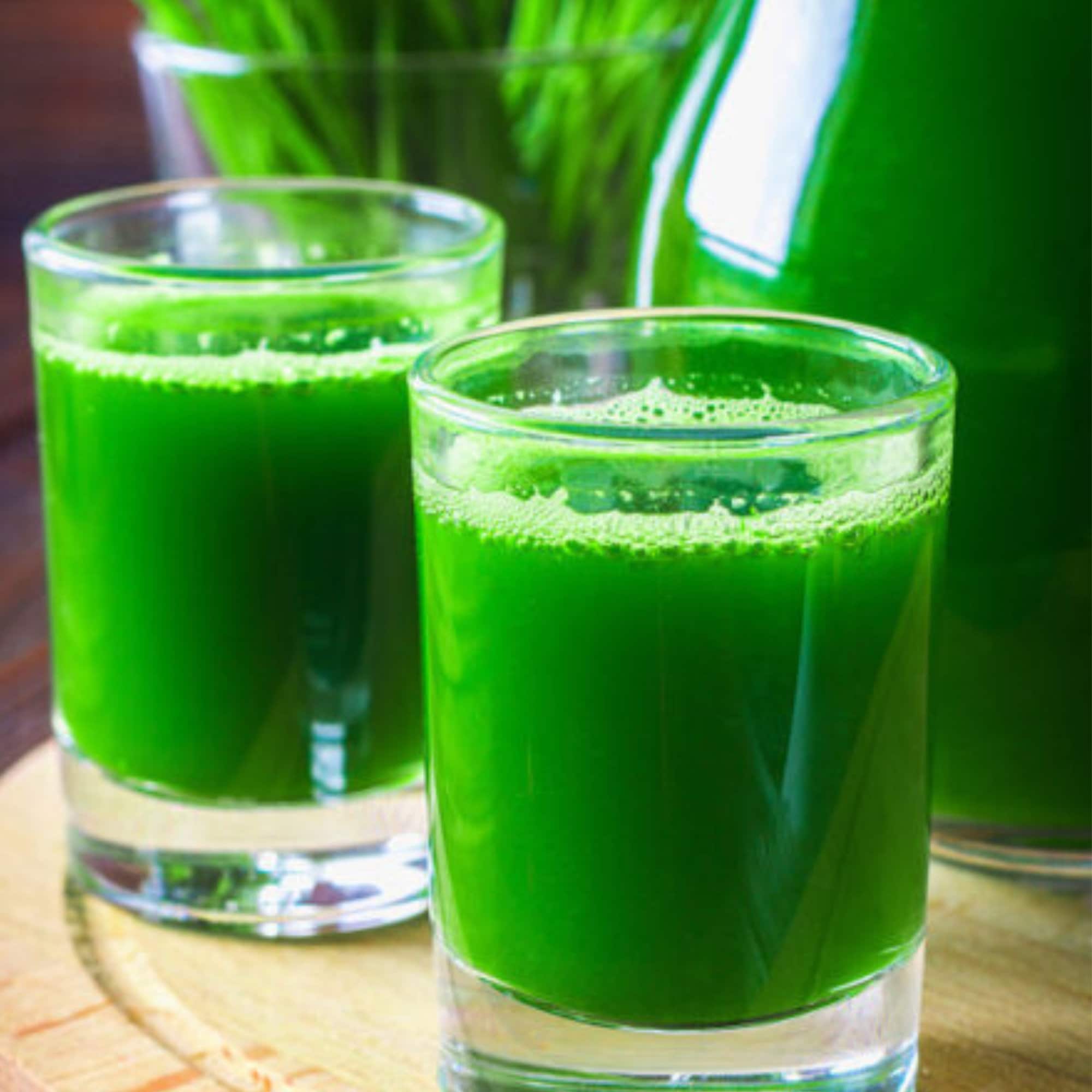 1 Wheat Grass Shot - Etsy
