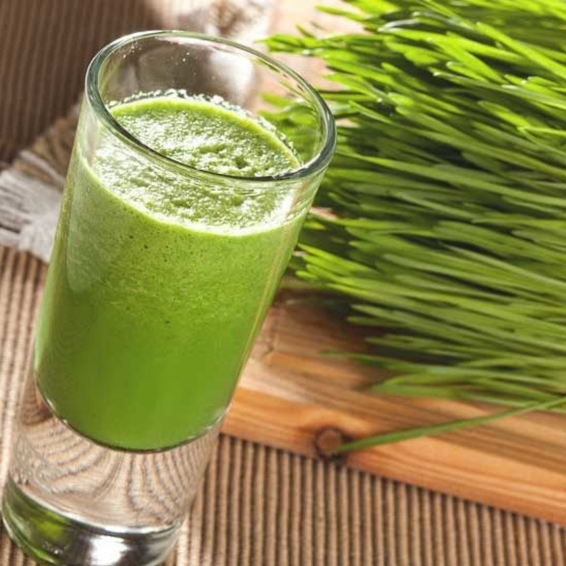 1 Wheat Grass Shot Etsy