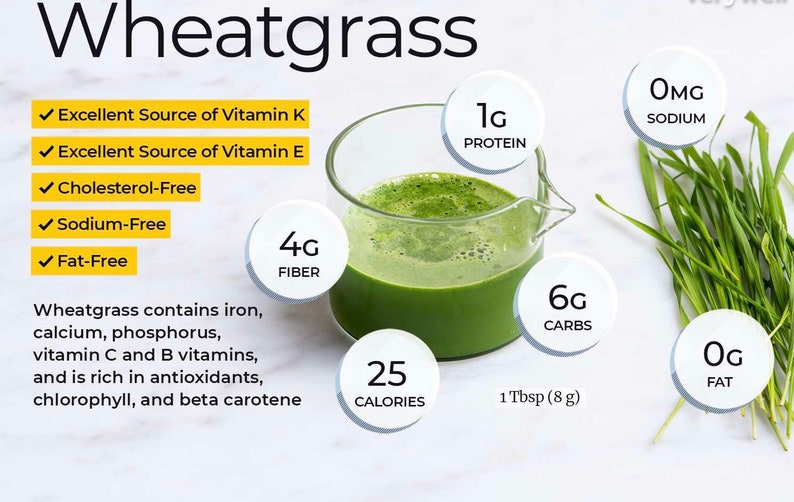1 Wheat Grass Shot - Etsy