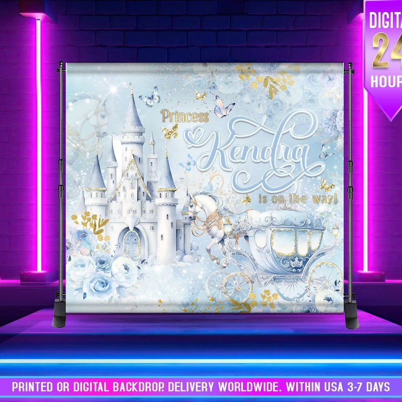 Princess Backdrop - Etsy