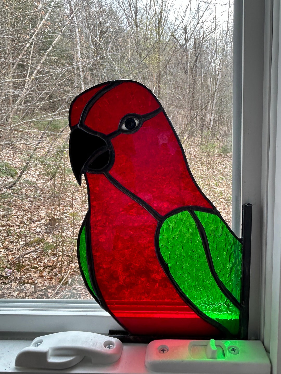 Stained Glass Window Peeking Parrot - Etsy
