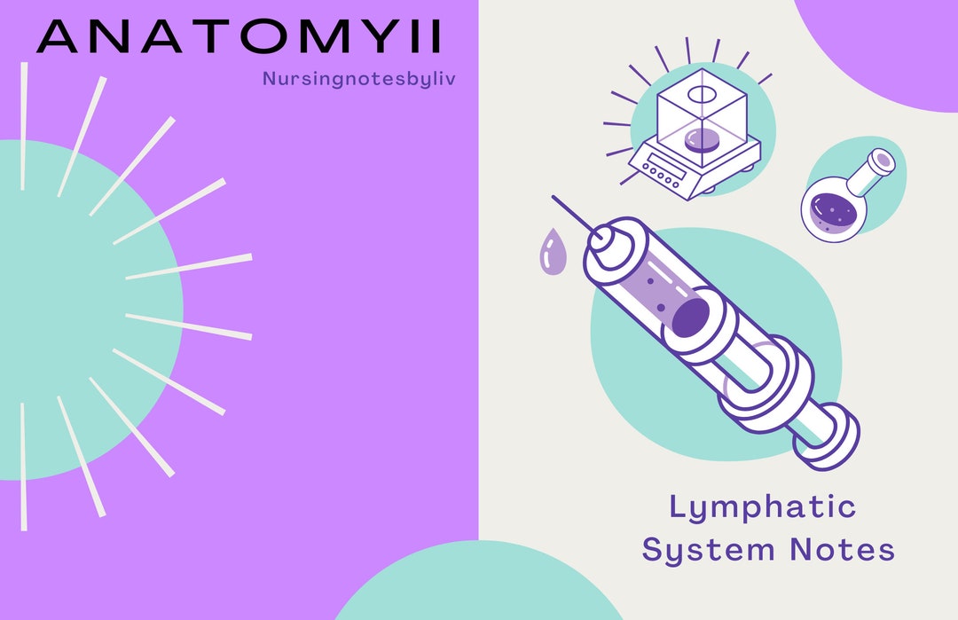 Anatomy II Lymphatic System Notes - Etsy