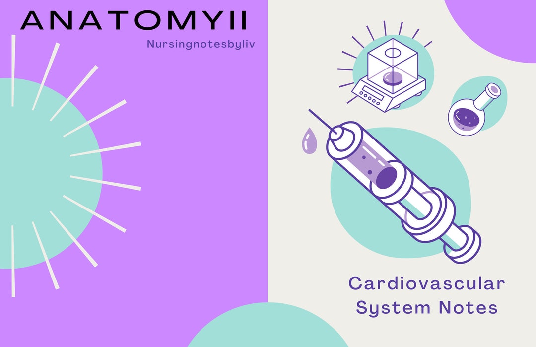Anatomy Ii Cardiovascular System Notes Etsy