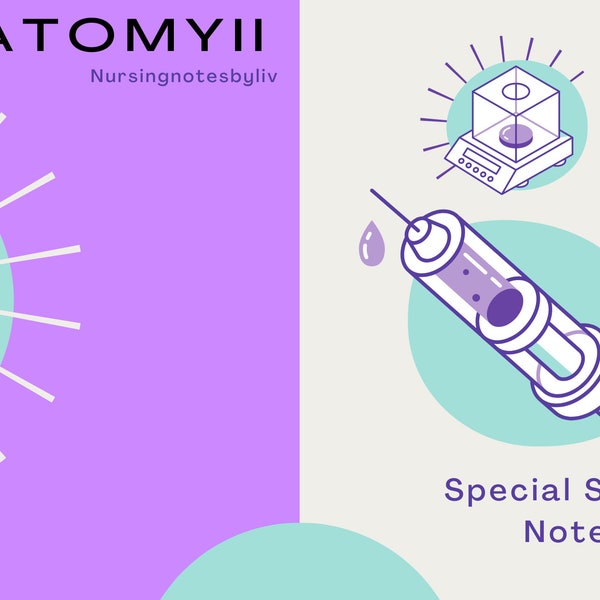 Special Senses Anatomy - Etsy