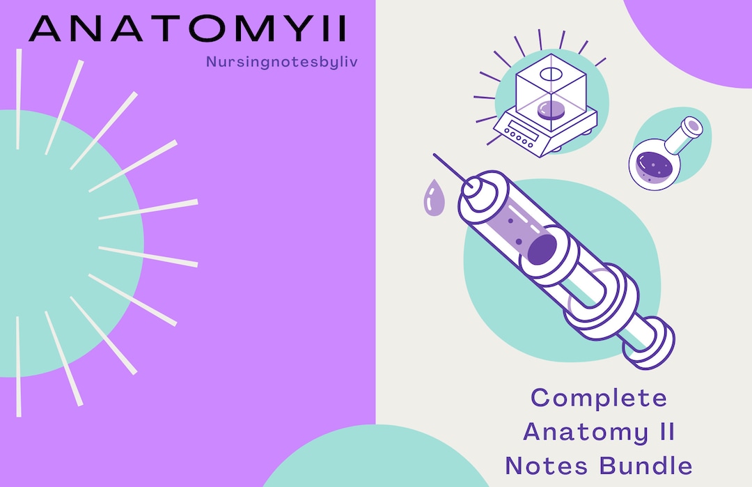 Anatomy II Complete Notes Bundle - Etsy